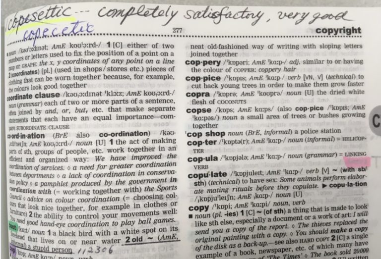 Copacetic Copasetic Copesetic Copecetic | TSO Business and Engineering